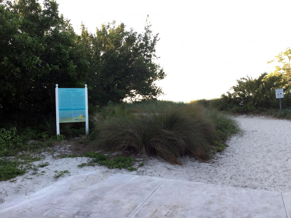 Coco Plum Beach | Marathon, Florida