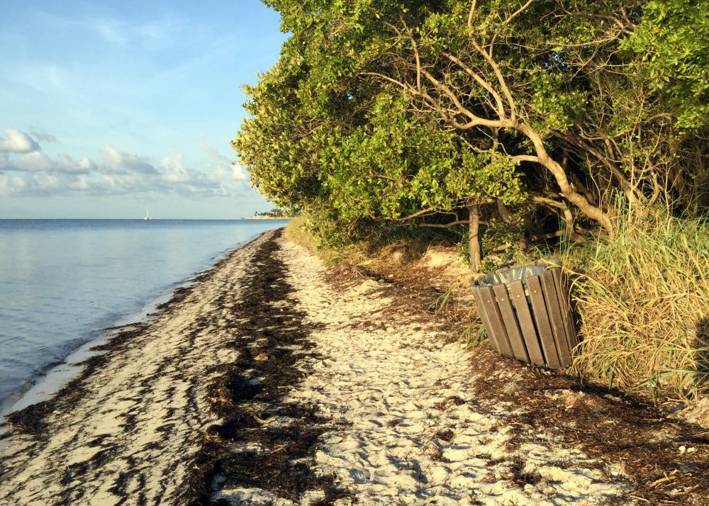 Coco Plum Beach | Marathon, Florida