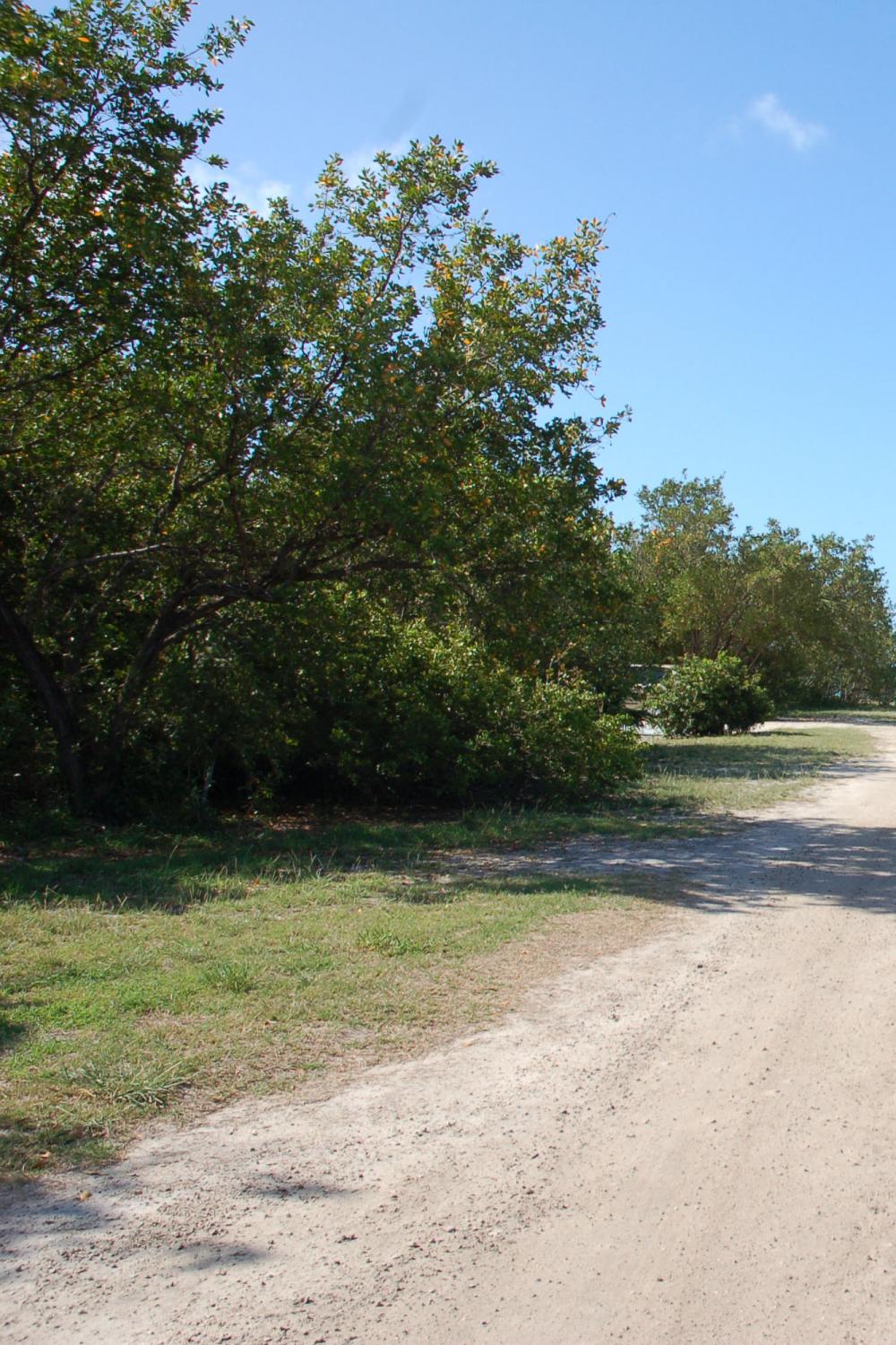 Ocean Front Park & Kayak Launch | Marathon, Florida